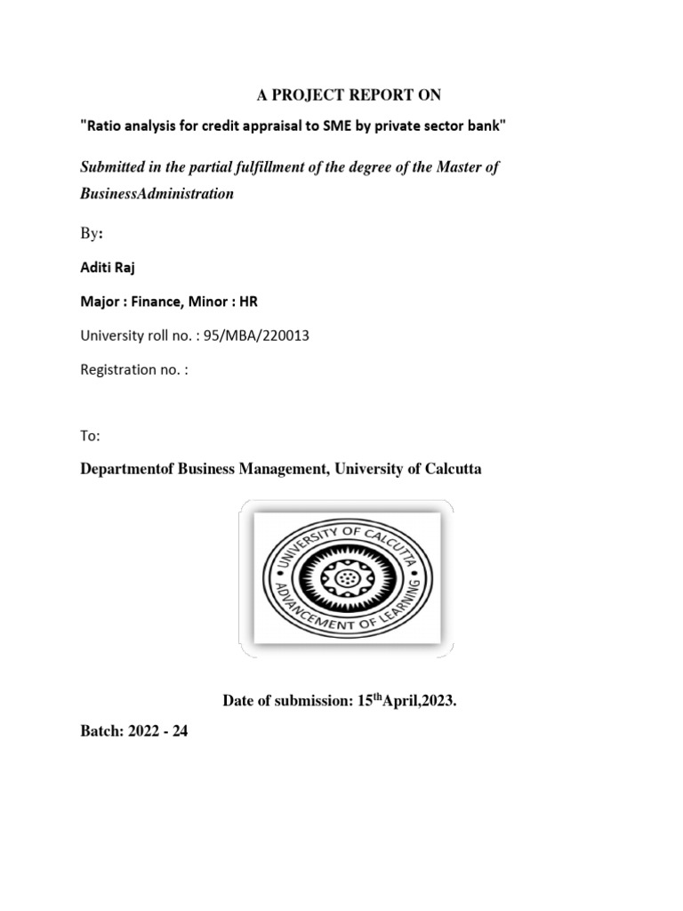 Final Project | PDF | Banks | Small And Medium Sized Enterprises