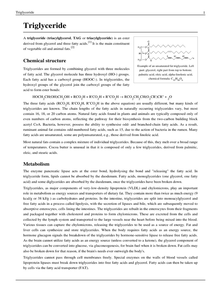 Wiki Triglyceride | PDF | Triglyceride | Fatty Acid