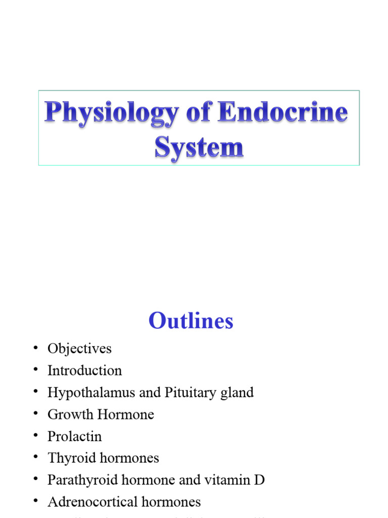Endocrine System Overview | PDF | Hypothalamus | Hormone
