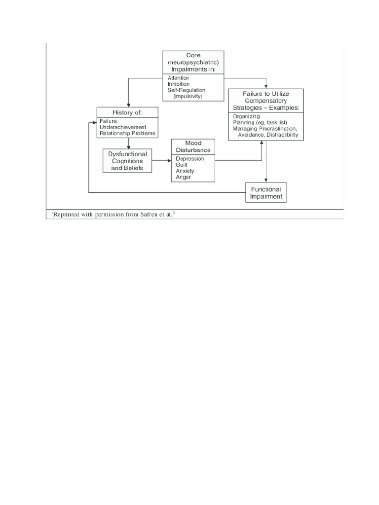 ADHD Model | PDF
