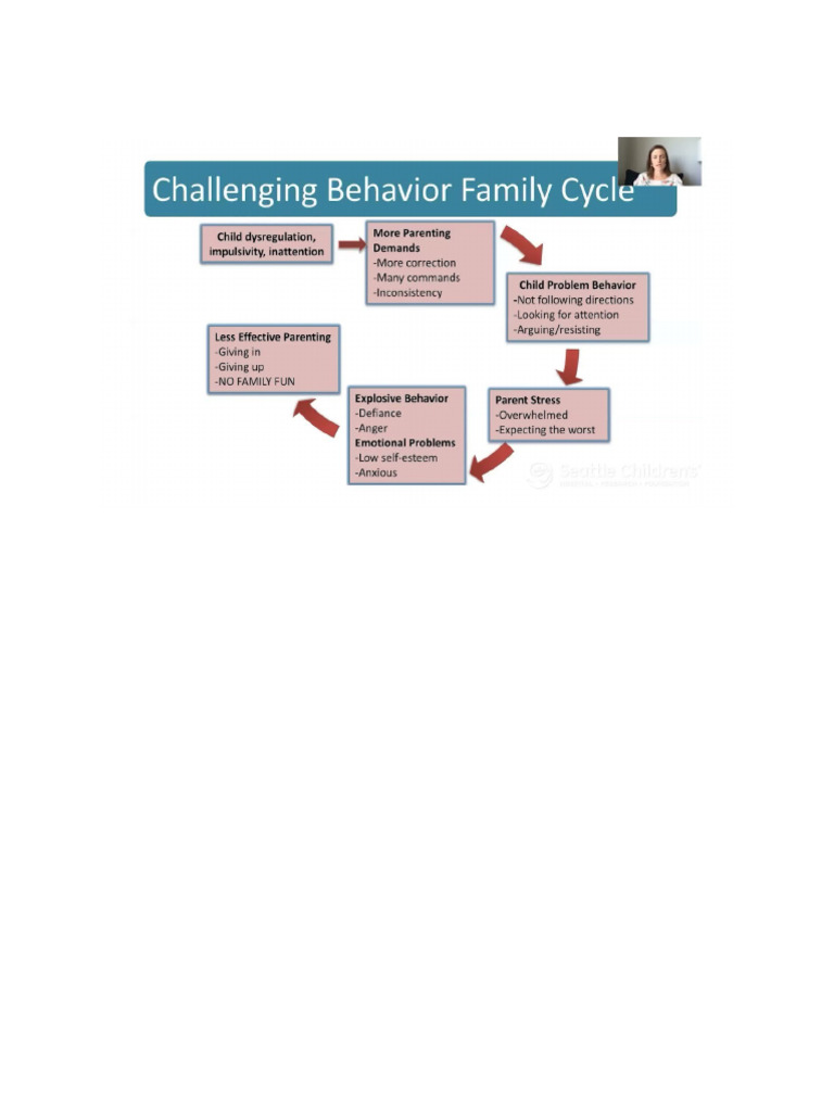 CHALLENGING BEHAVIOUR FAMILY CYCLE MODEL | PDF
