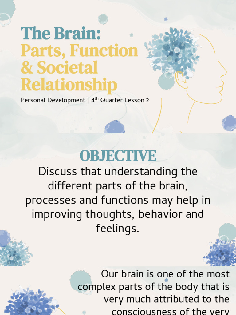 PERDEV Q4M5 The Brain Parts Function Societal Relationship | PDF ...
