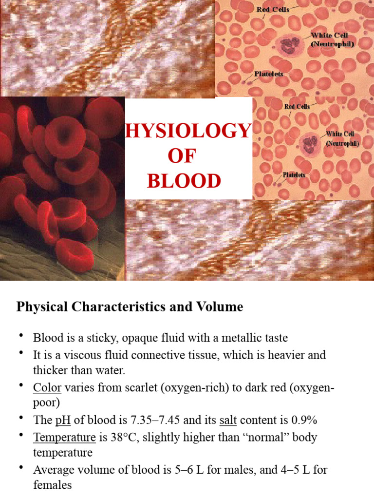 Physiology Blood and CVS For Anesthes | PDF | Blood Type | Coagulation