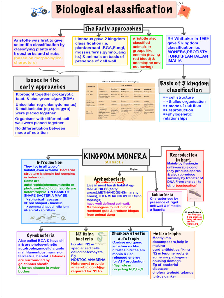 Mindmapof Biological Classification | PDF | Spore | Fungus