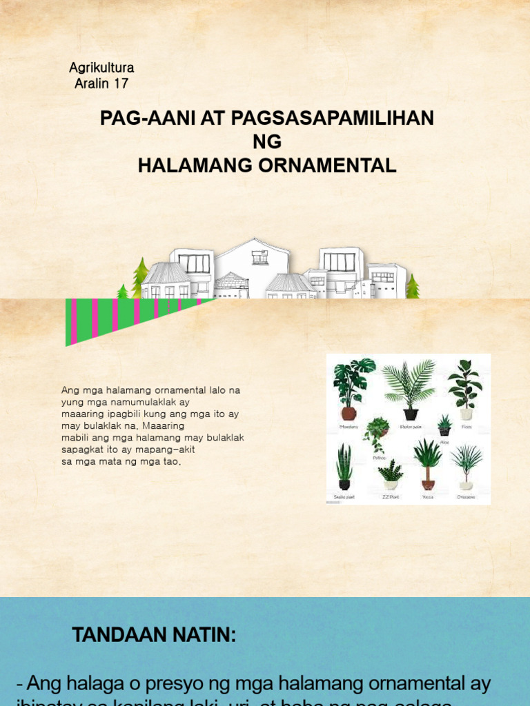 Halamang Ornamental2 | PDF