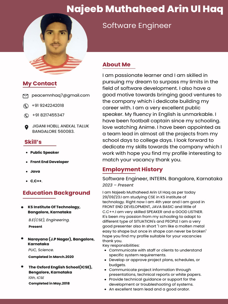 Software Engineer Profile Overview | PDF