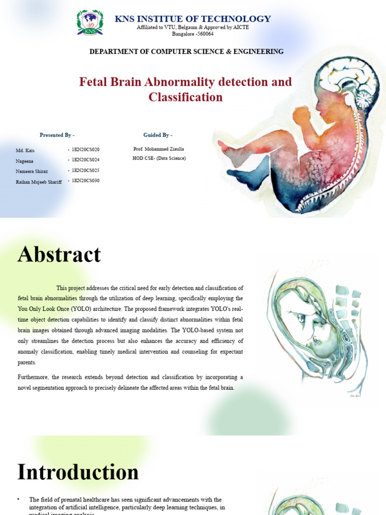 Fetal Brain Abnormalities and Classification-7 v7 | PDF | Deep Learning ...