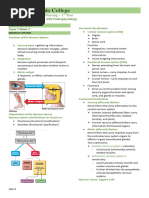 Science-Reviewer-3rd-Quarter For Grade 10 Biology | PDF | Motor Neuron ...