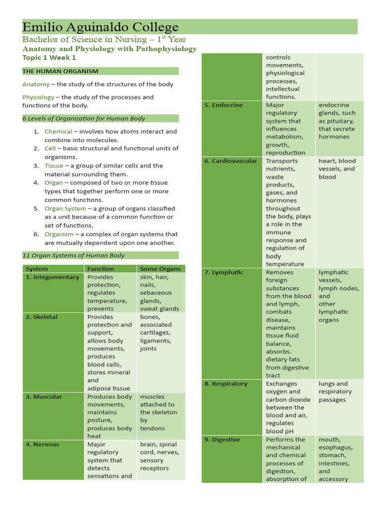 Anaphy Transes 1stYear1stSem | PDF | Epithelium | Human Body
