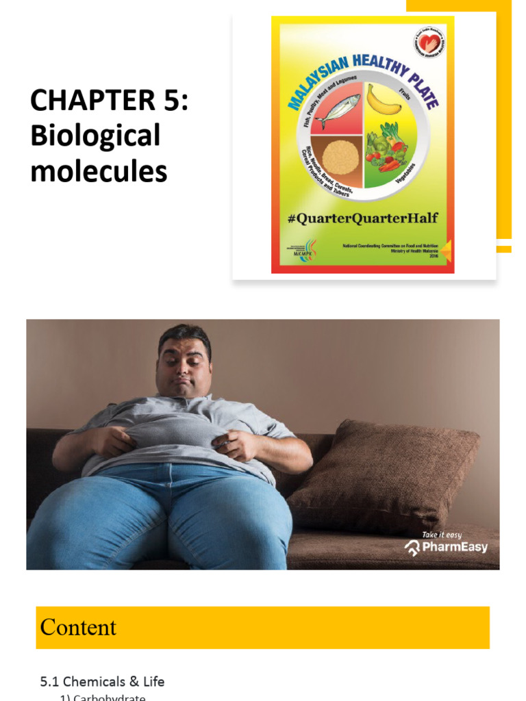 Biological Molecules Overview | PDF | Carbohydrates | Dna