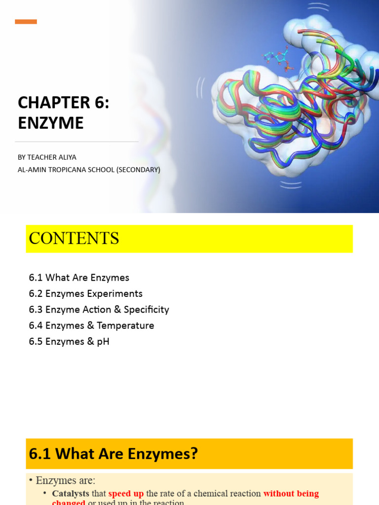 Igcse Biology: Enzyme | PDF | Enzyme | Active Site