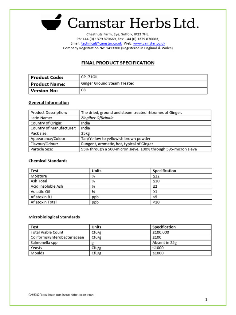 SPEC. Ginger Ground | PDF | Ginger