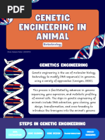 ENVIROPIG | PDF | Genetically Modified Organism | Transgene