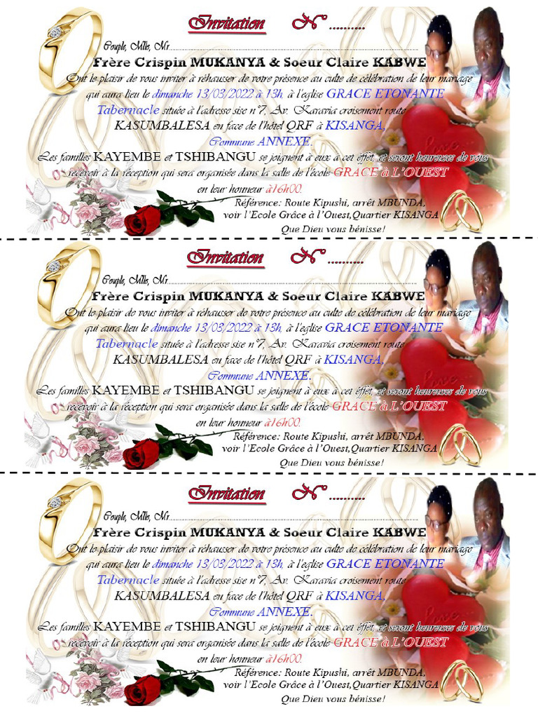 Invit PPP 072710 | PDF