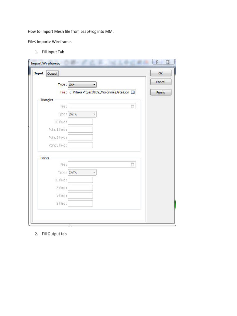 Load Leapfrog Into Micromine | PDF