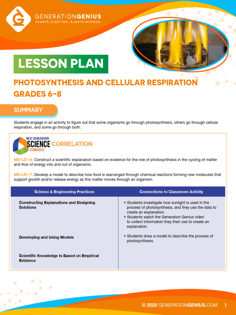 Photosynthesis vs. Cellular Respiration Lesson | PDF | Photosynthesis ...
