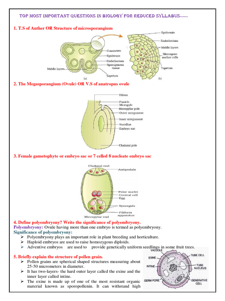 Biology Passing Package New 1 | PDF | Translation (Biology) | Genetic Code