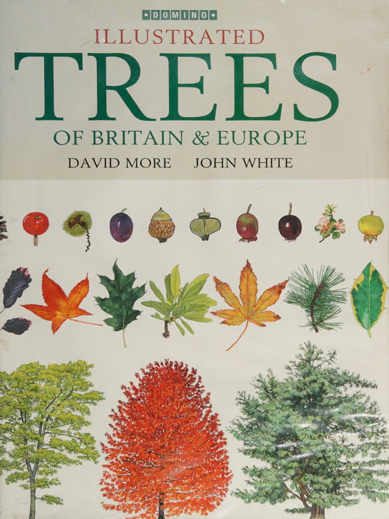 Illustrated Trees of Britain & Europe | PDF | Trees | Mulch