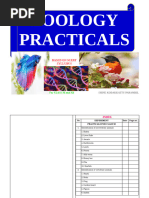 Botany Practical Record Diary 2024 | PDF | Mitosis | Leaf