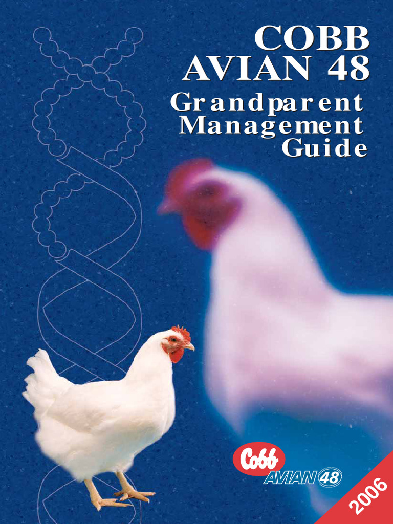 Cobb Avian 48 Grandparent Guide | PDF | Beak | Broiler
