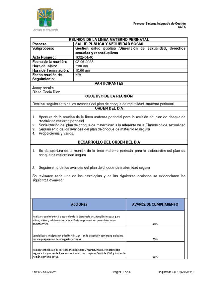 Acta de Reunion Plan de Choque Mme | PDF | Muerte materna | El embarazo