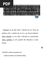 Foljet Kalimtare Dhe Jokalimtare | PDF