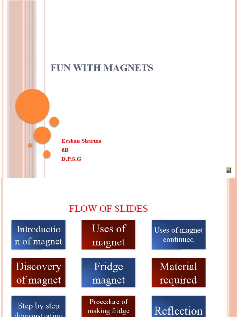 Science Holiday Homework | PDF | Magnet | Magnetism
