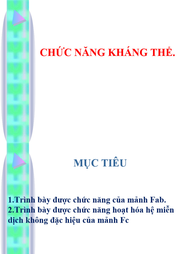 CH C Năng KT | PDF