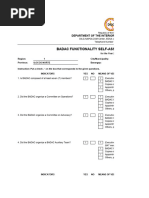 3-Badac Self-Assessment and Audit Form | PDF | Government
