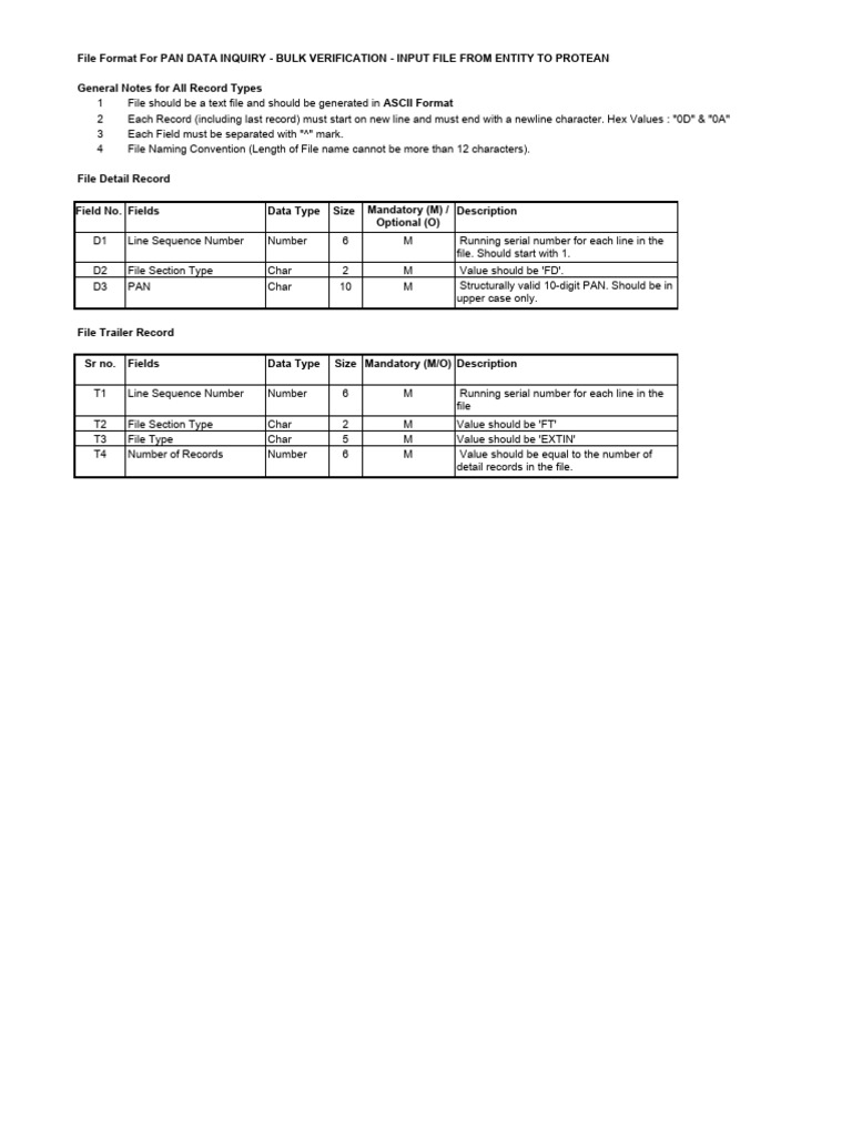 File Format - File Based - Other Than DCT - 30062023 | PDF | Computer Data | Computing