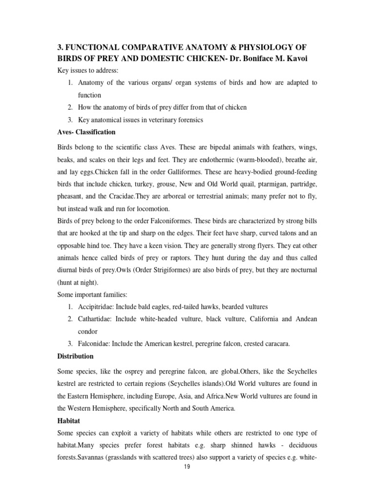 Functional Comparative Anatomy And Physiology Of Pdf Birds Beak