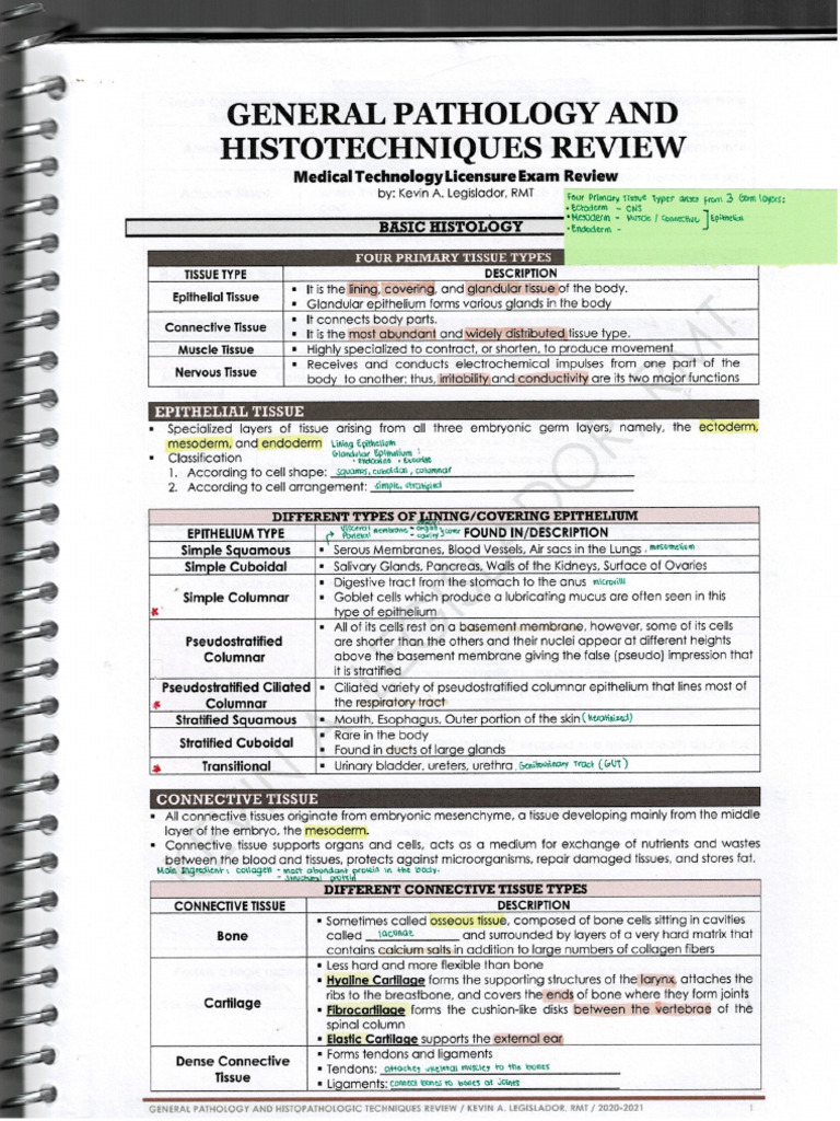 Histopathologic Techniques Boards | PDF