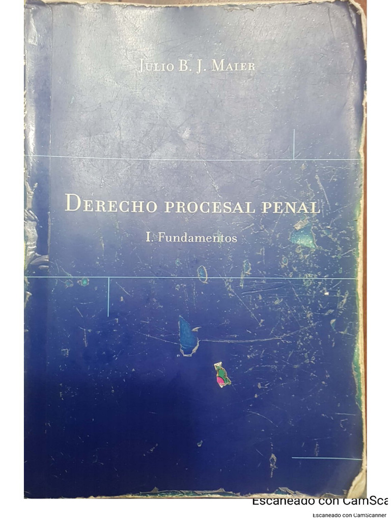 MAIER Julio B. J. - La Persecución Penal | PDF