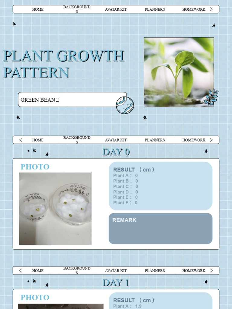 plant growth pattern | PDF