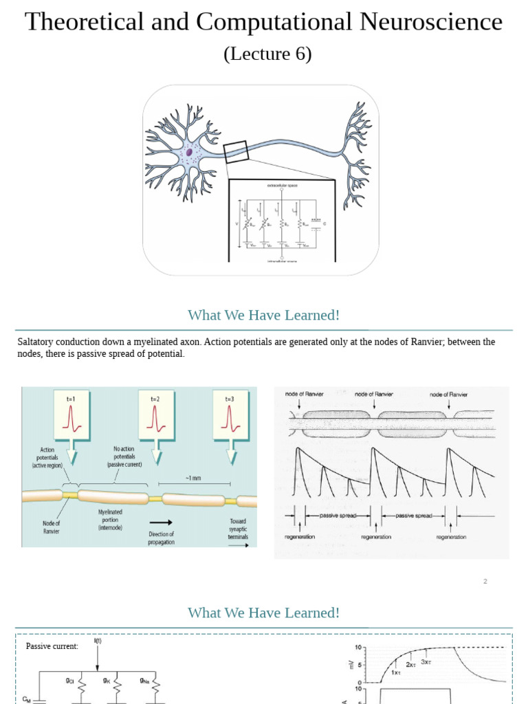 Theoretical and Computational Neuroscience-2021-Lecture6 | PDF | Action ...