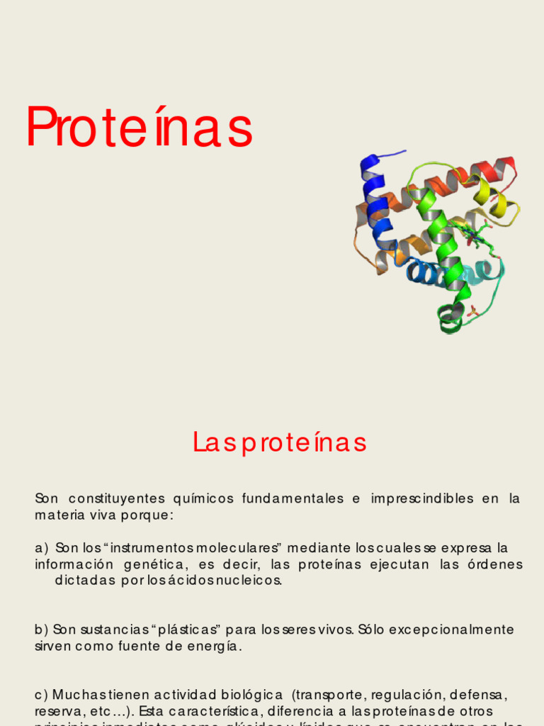 Aminoácidos y su rol en proteínas | PDF | Aminoácidos | Proteínas