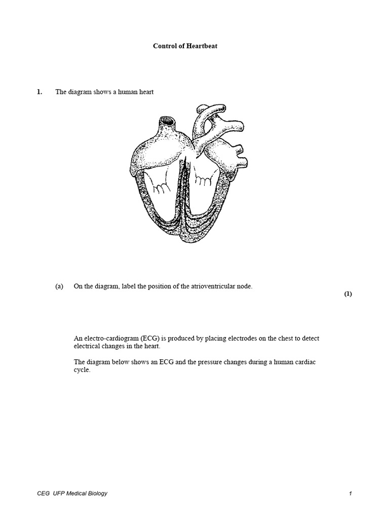 Control Of Heartbeat Qp Pdf Heart Electrocardiography