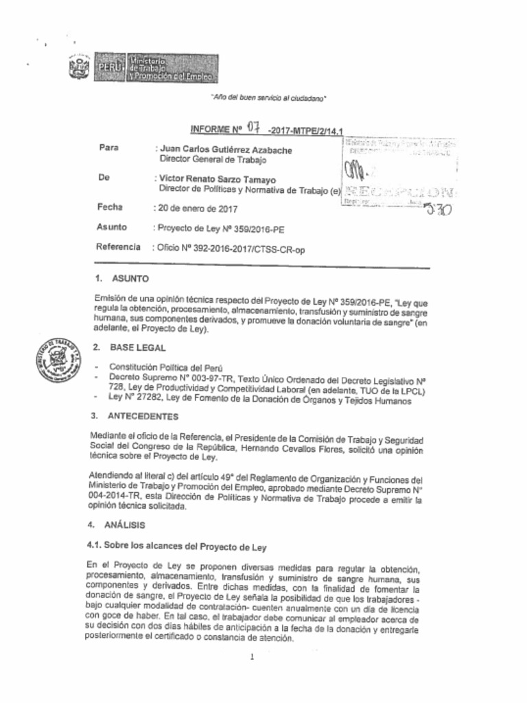 Informe N 07-2017 | PDF