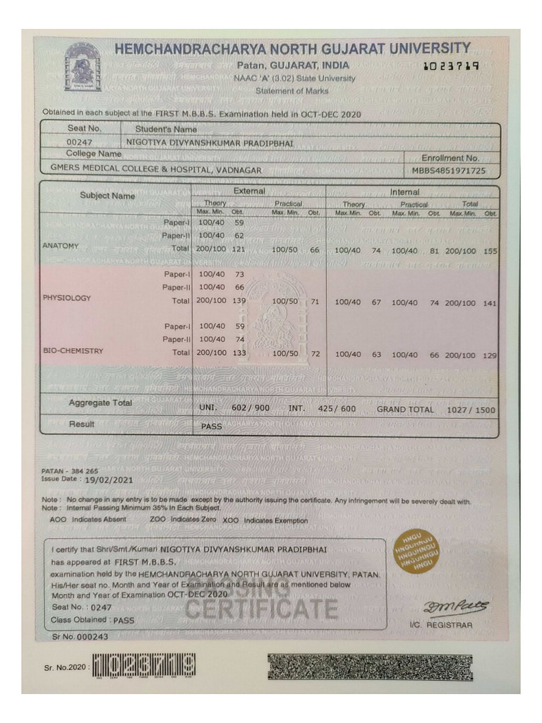 1st Yr Marksheet | PDF