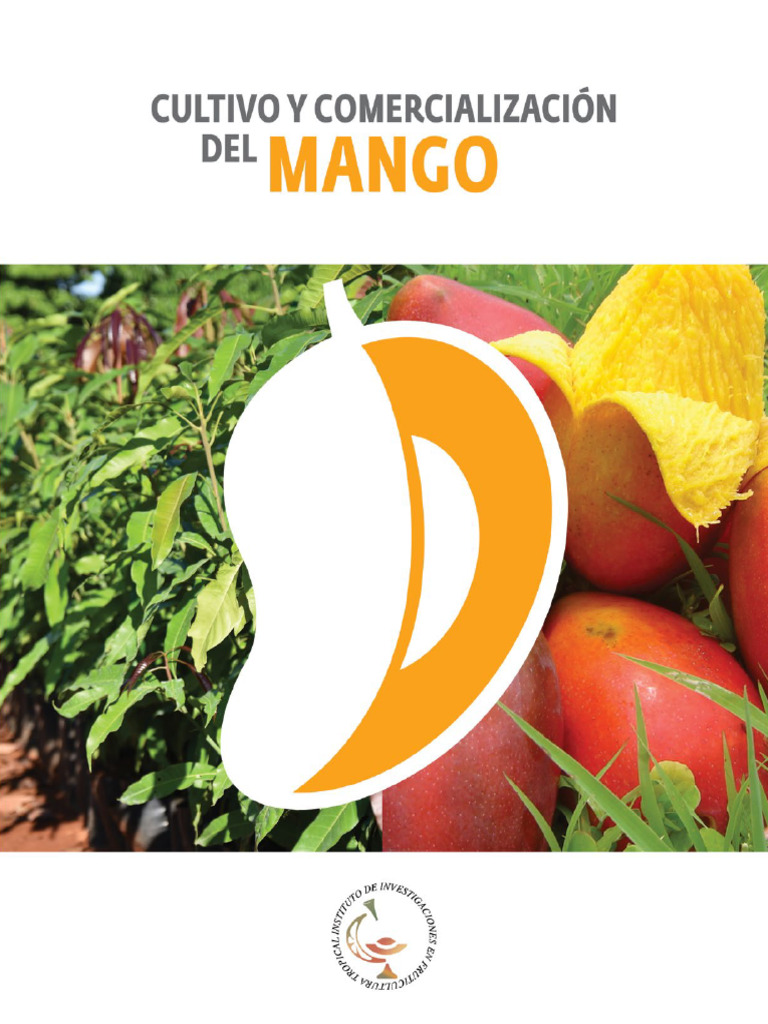 MANGO Cultivo y Comercializacion WEB (1) | PDF | Agricultura | Mango