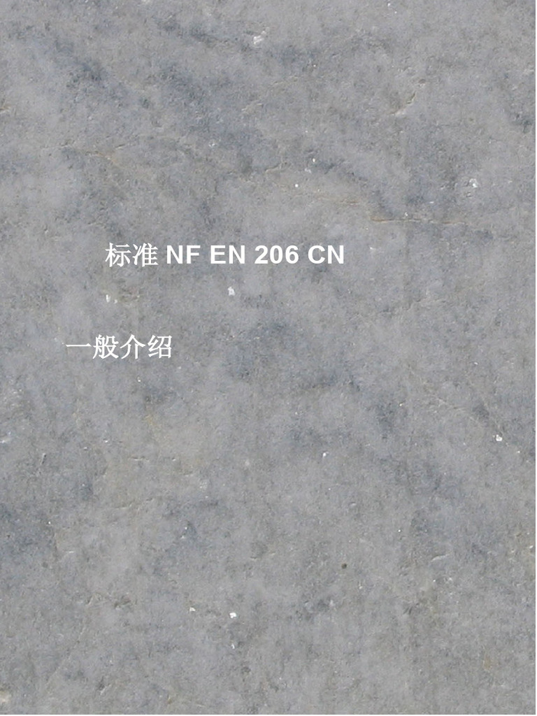 PDF翻译 20240504 367113 | PDF