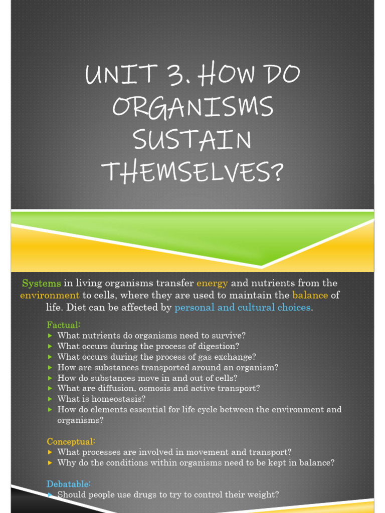 IB_MYP_-_Unit_3._How_do_organisms_sustain_themselves | PDF | Digestion | Human Digestive System