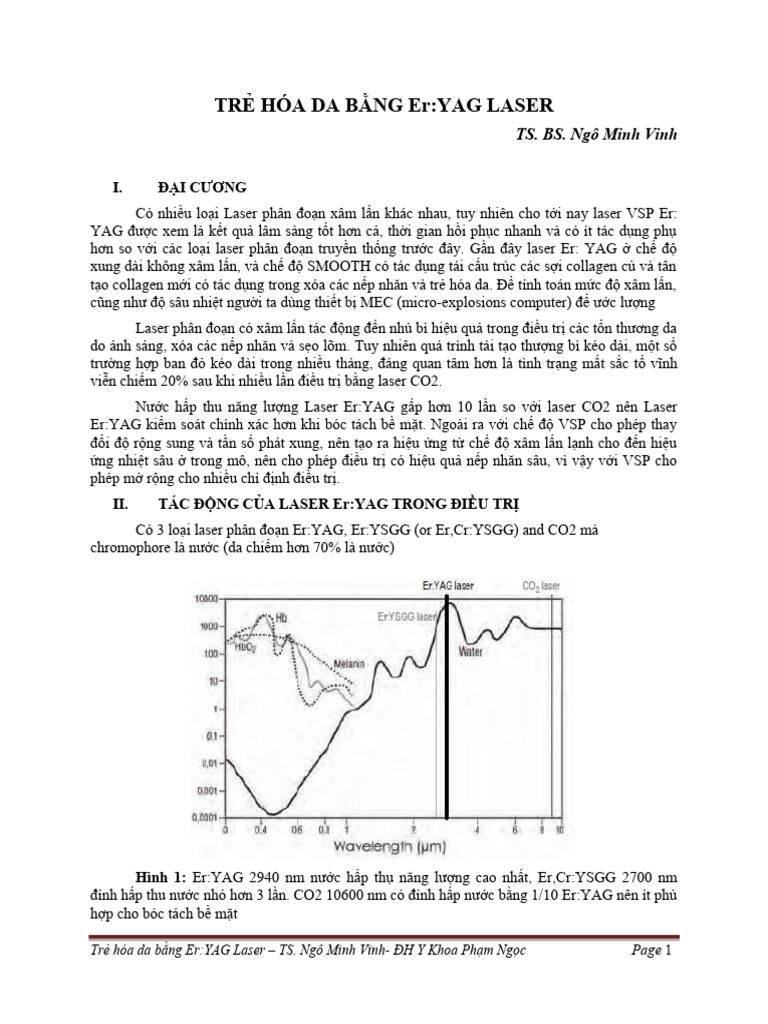 Tre Hoa Da Bang Er YAG | PDF