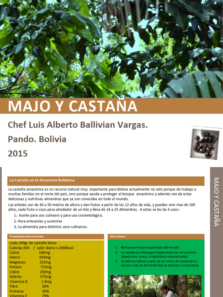 2015 Majo Castana | PDF | Almendra | Bolivia