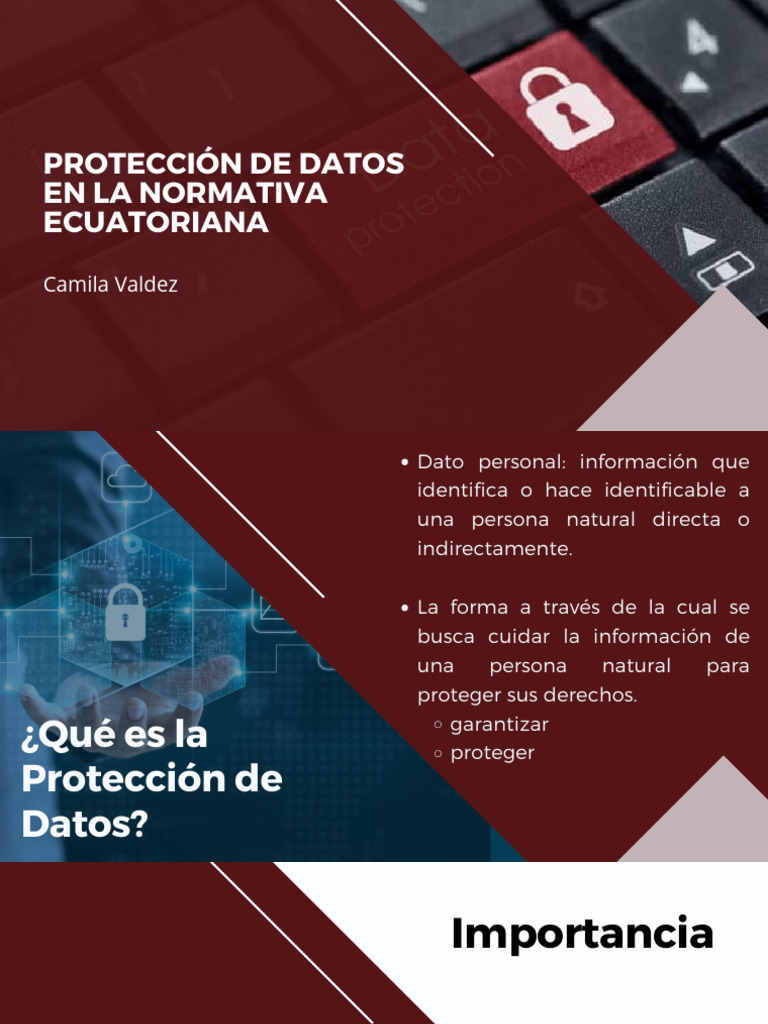 Protección De Datos En La Normativa Ecuatoriana Pdf Privacidad