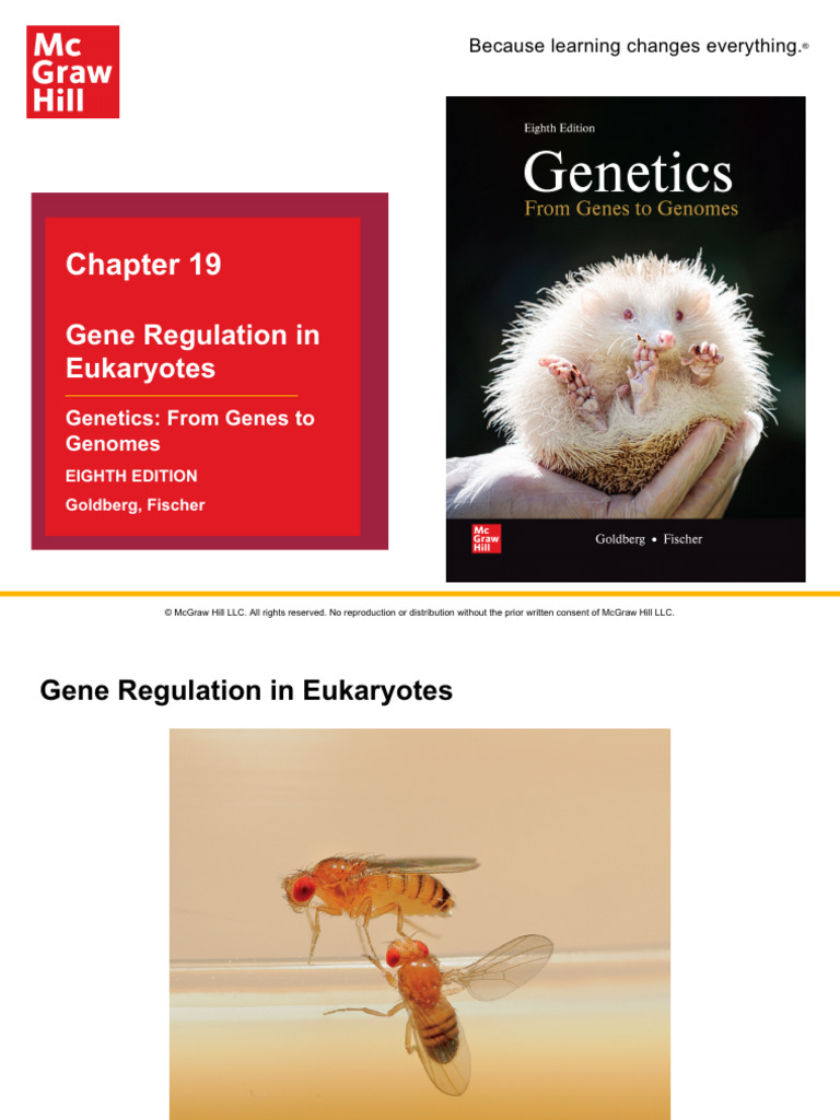 Bio 342 Lect 13 | PDF