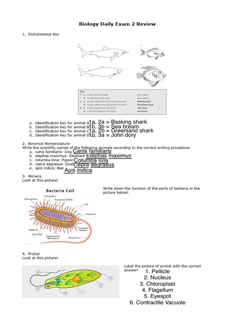 Biology Exam Review Guide | PDF