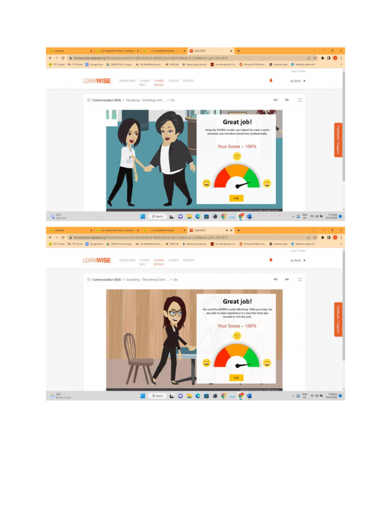 Learnwise Scores | PDF