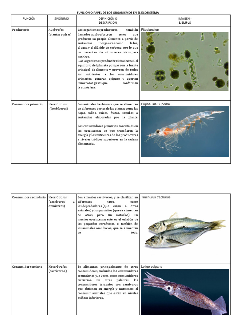 Roles de Organismos en Ecosistemas | PDF | Biología | Ecología