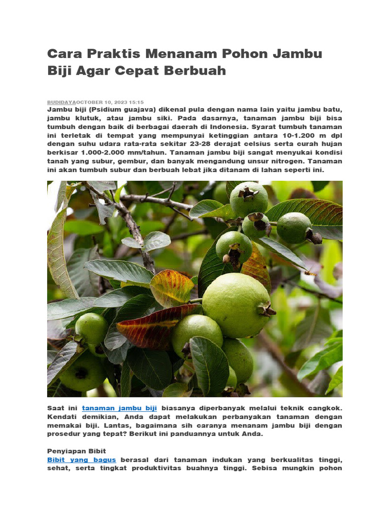 Penanaman Pokok Jambu | PDF
